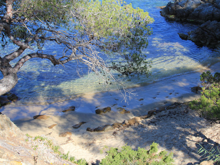 Découvrez les 12 plages du Lavandou | Hôtel La Petite Bohème Découvrez les 12 plages du Lavandou | Hôtel La Petite Bohème